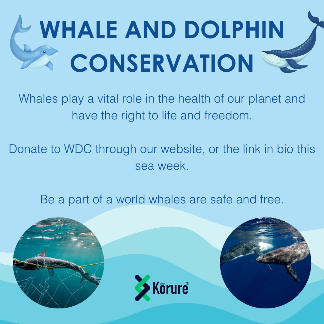 Donation for Whale and Dolphin Conservation – Korure